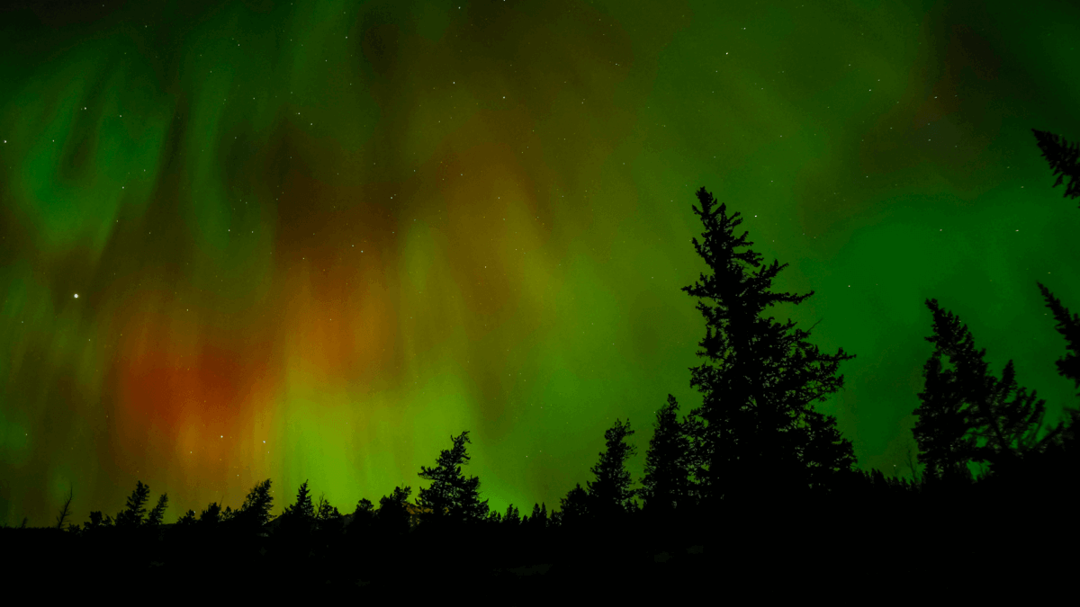 A space scientist's tips for viewing the northern lights | News ...