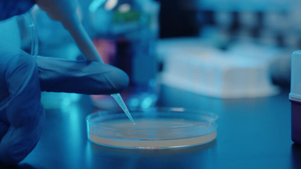 Athabasca University | News | AU researcher engineers microbes to ...